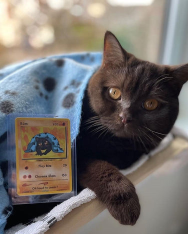 Poképaw Cards - Customized Poké Cards For Your Pet! - Create Yours Now ...
