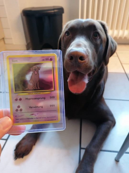 Poképaw Cards - Customized Poké Cards For Your Pet! - Create Yours Now ...