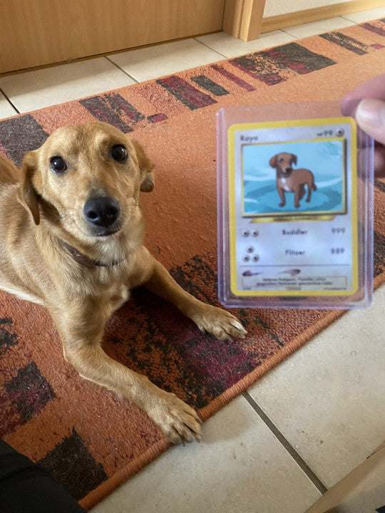 Poképaw Cards - Customized Poké Cards For Your Pet! - Create Yours Now ...